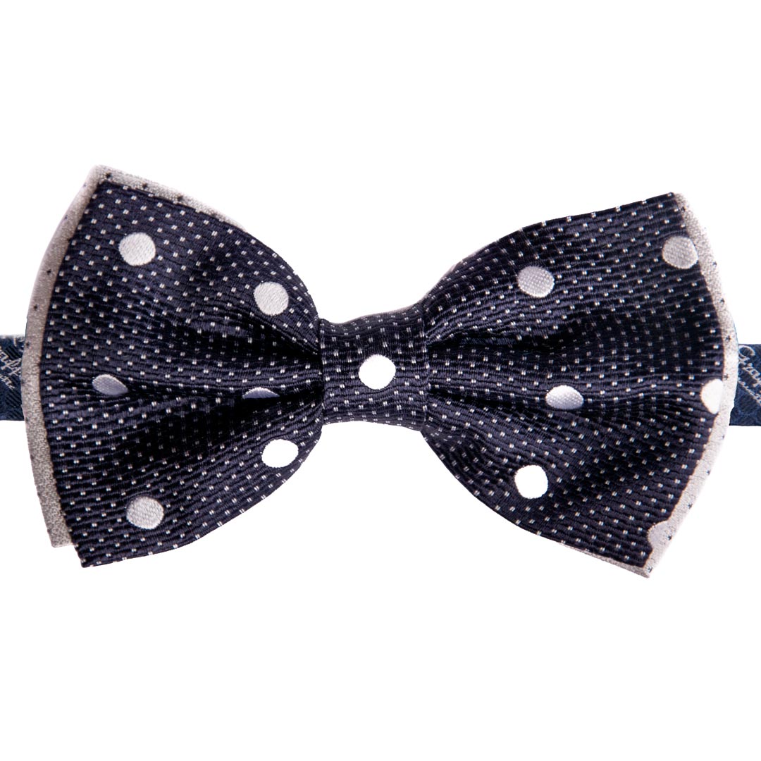 Man Blue Ceremony Silk Pre-Tied Bow Tie Silver Grey Polka Dots PYPAP11